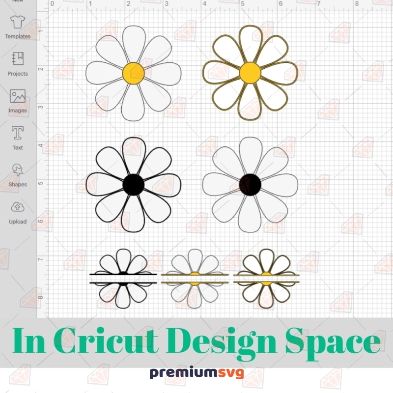 Daisy Bundle SVG Cut File, Flower Bundle SVG Instant Download | PremiumSVG