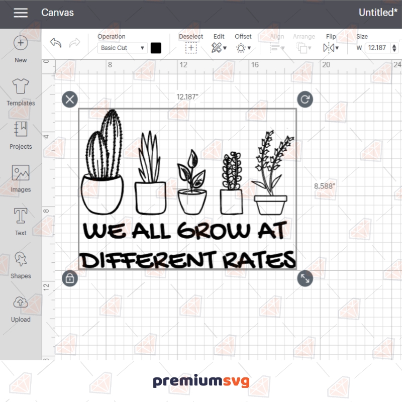 We All Grow At Different Rates SVG, Shirt SVG Design | PremiumSVG
