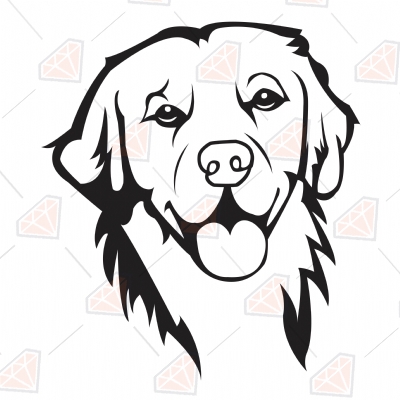 Golden Retriever SVG Cut File, Retriever Vector Instant Download ...