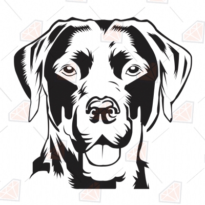 Black Labrador SVG Cut File, Labrador Vector Instant Download | PremiumSVG