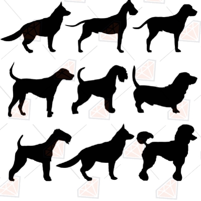 Dog Bundle SVG Files, Dog Breeds Clipart | PremiumSVG