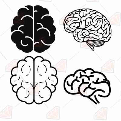 Brain Bundle SVG File, Brain Clipart Instant Download | PremiumSVG
