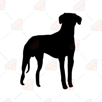 Great Dane SVG, Great Dane Vector Files Instant Download | PremiumSVG