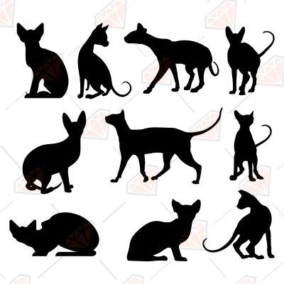 Sphynx Cat Silhouettes SVG Bundle, Cut and Clipart Files | PremiumSVG