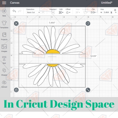 Daisy Monogram SVG, Flower Split SVG Instant Download | PremiumSVG