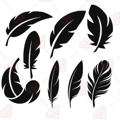 Feathers SVG Bundle, Feathers Vector Files | PremiumSVG
