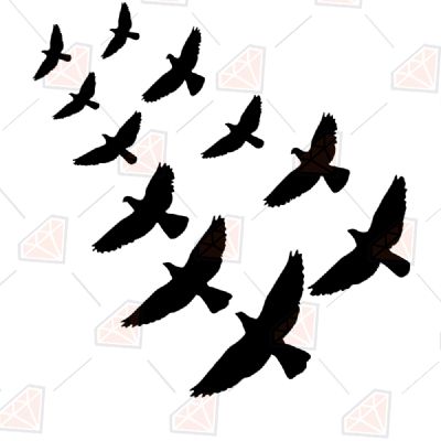 Birds Svg Bundle | PremiumSVG