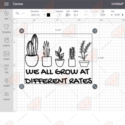 We All Grow At Different Rates SVG, Shirt SVG Design | PremiumSVG