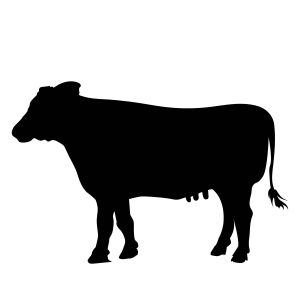 Cow Silhouette SVG, Vector and Cut File | PremiumSVG