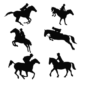 Horse And Rider Silhouette