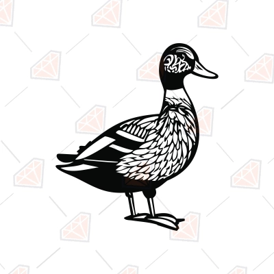 Mallard Duck SVG for Cricut, Mallard Duck Line Art | PremiumSVG