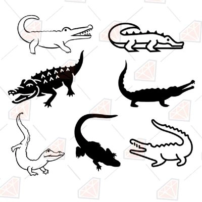 Alligator SVG Bundle Cut & Clipart Files | PremiumSVG