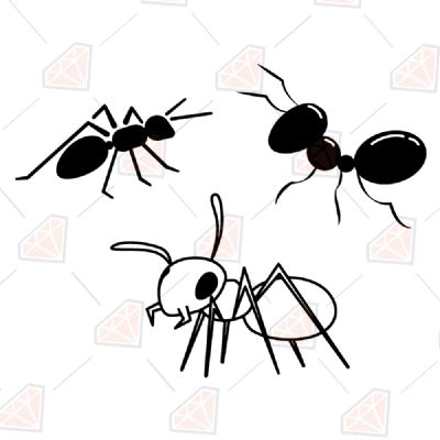 Ant SVG Bundle Cut & Clipart Files | PremiumSVG