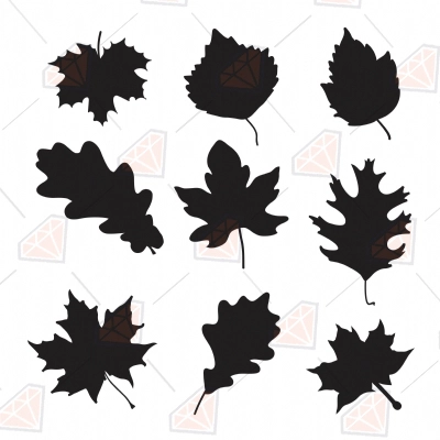 Basic Fall Leaves SVG Cut Files, Autumn Leaves SVG | PremiumSVG