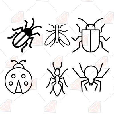 Insect SVG Bundle Cut & Clipart File | PremiumSVG