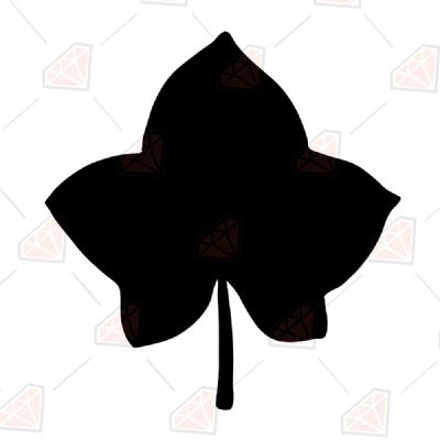 Aka IVY Leaf SVG, Silhouette, PNG | PremiumSVG