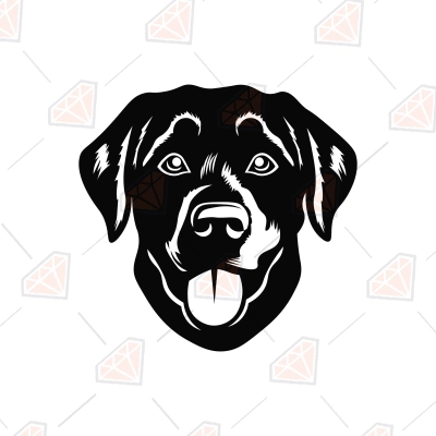 Black Lab Face Silhouette SVG, Vector File | PremiumSVG