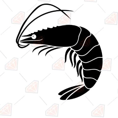 Shrimp SVG File, Black Shrimp Clipart File | PremiumSVG