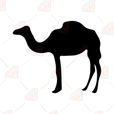 Camel SVG Cut File for Cricut & Silhouette | PremiumSVG