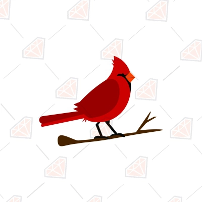 Cardinal on Branch SVG, Bird SVG | PremiumSVG