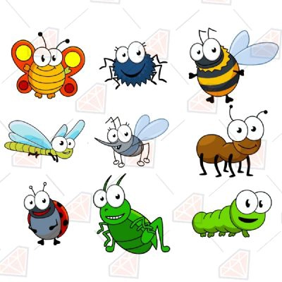 Cute Insects SVG Bundle, Bugs Clipart File | PremiumSVG