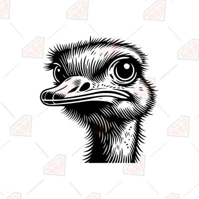 Emu Face SVG, Emu SVG PNG | PremiumSVG