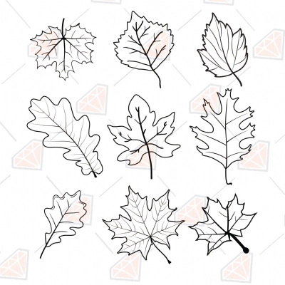 Fall Leaves Outline SVG, Fall Leaves Bundle SVG | PremiumSVG