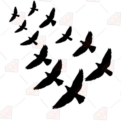 Flock of Birds SVG & PNG Files | PremiumSVG
