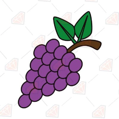 Grape SVG, Grape Clipart Cut Files | PremiumSVG