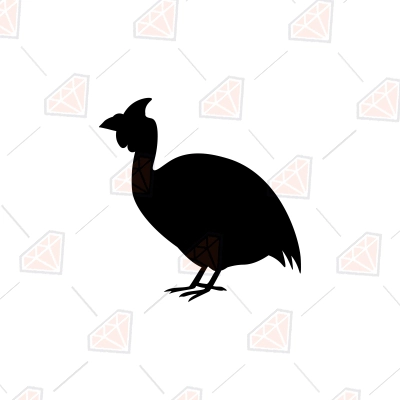 Guinea Fowl SVG, Guinea Fowl Silhouette | PremiumSVG