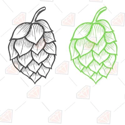 Hops SVG Design File, Instant Download | PremiumSVG