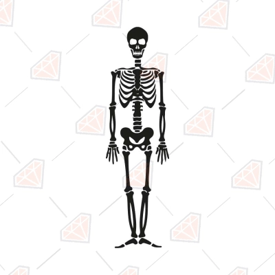 Human Skeleton SVG Cut File, Skeleton Vector Files | PremiumSVG