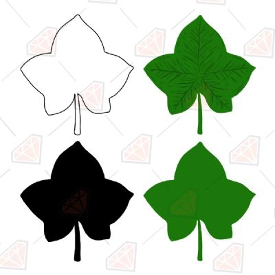 Ivy Leaf SVG Bundle, Ivy SVG Files | PremiumSVG