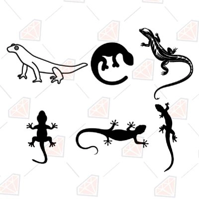 Lizard SVG Bundle Clipart & Cut Files | PremiumSVG