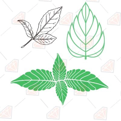 Mint Leaves SVG Design Files | PremiumSVG