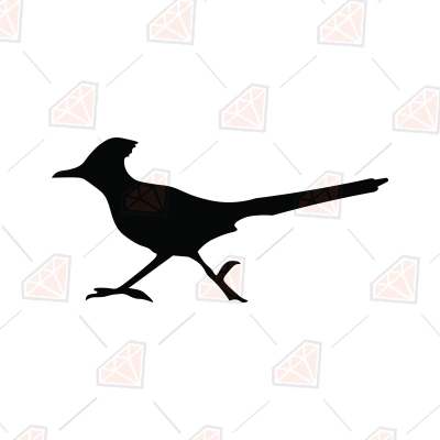 Roadrunner SVG, Bird Roadrunner Silhouette | PremiumSVG