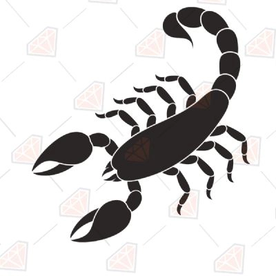 Scorpio SVG Cut File | PremiumSVG