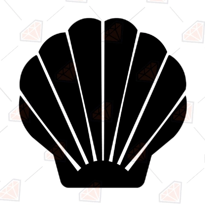 Seashell Clipart Black and White SVG, Seashell Vector Files | PremiumSVG