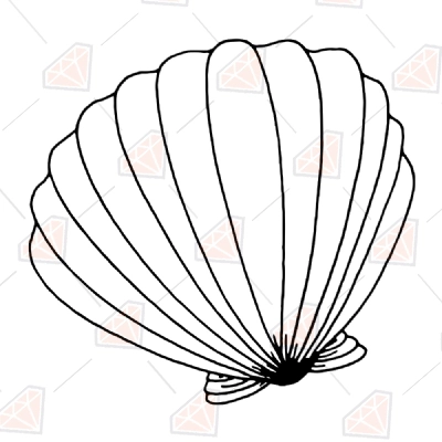 Seashell SVG Clipart Files, Instant Download | PremiumSVG
