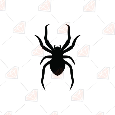 Spider Logo SVG, Black Spider Clipart File | PremiumSVG