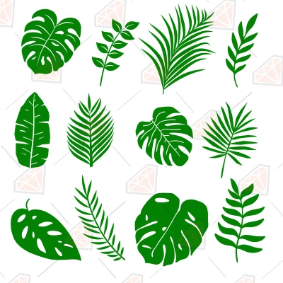 Tropical Leaves SVG, Monstera Leaves SVG Clipart | PremiumSVG